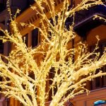 Grotto Festival of Lights - a guide to a light visual journey.