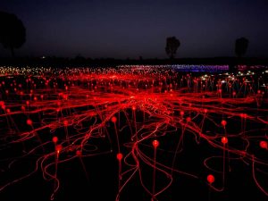 Uluru lights (Field of Lights Uluru) - Festival Of Lights - Plan Your ...