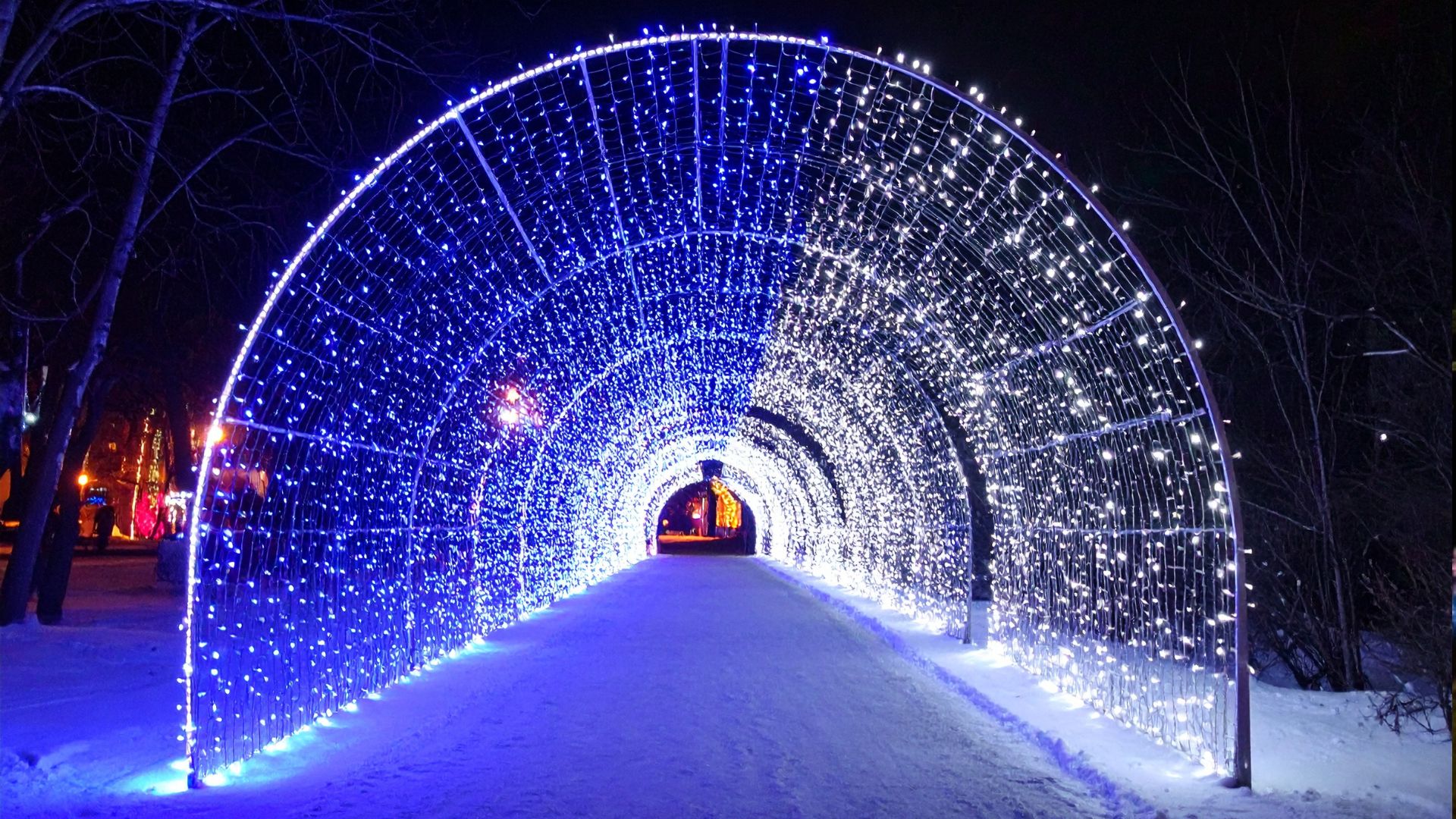 Airdrie Festival of Lights – Dates, Costs, and Best Sights - Festival ...