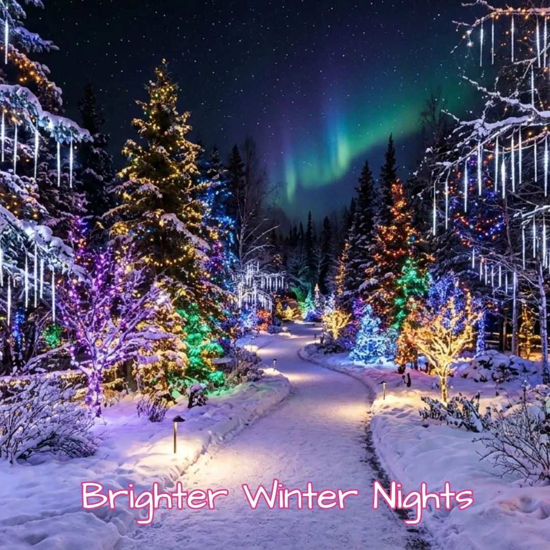 Brighter Winter Nights – Festival Dates, Tickets, and Best Sights ...