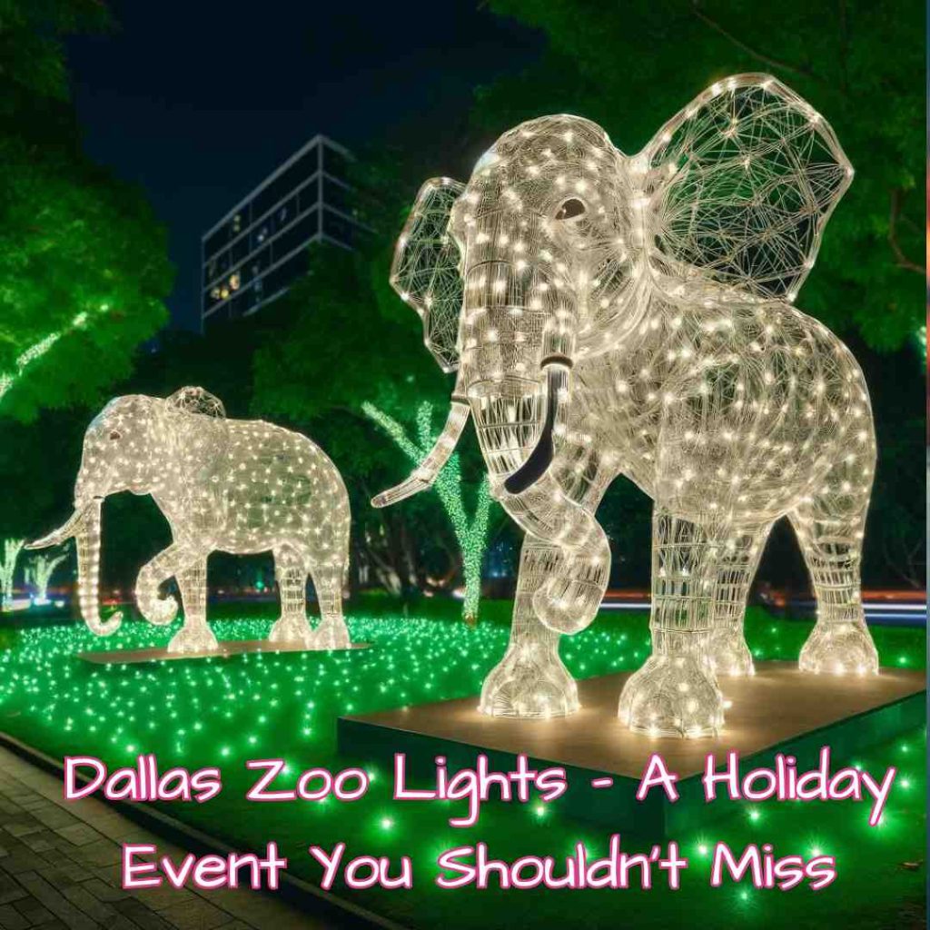Zoo Lights | When | Where | Tickets Costs | Festival Of Lights