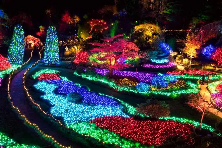 Garden of Morning Calm Lighting Festival - A Wonderland of Lights