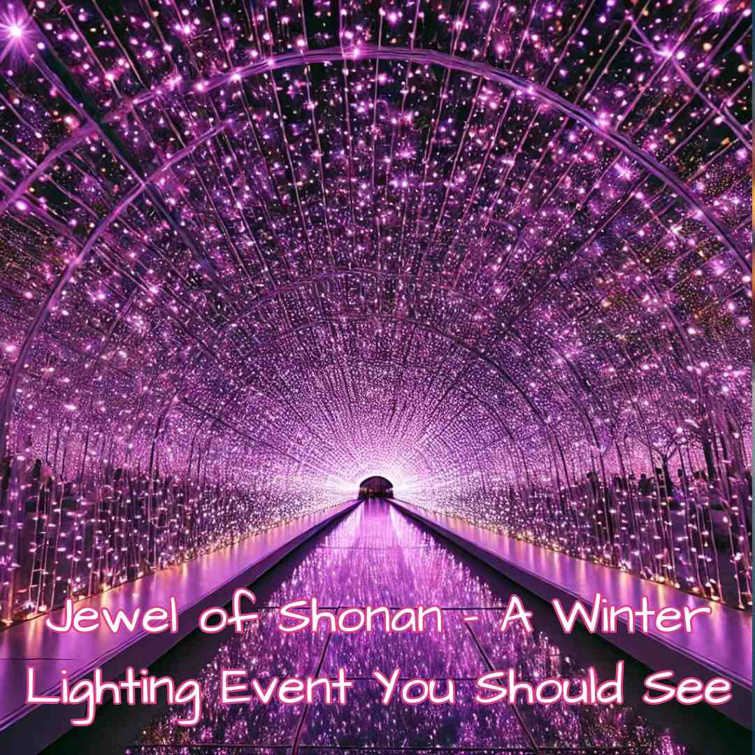 Jewel of Shonan – A Winter Lighting Event You Should See - Festival Of ...