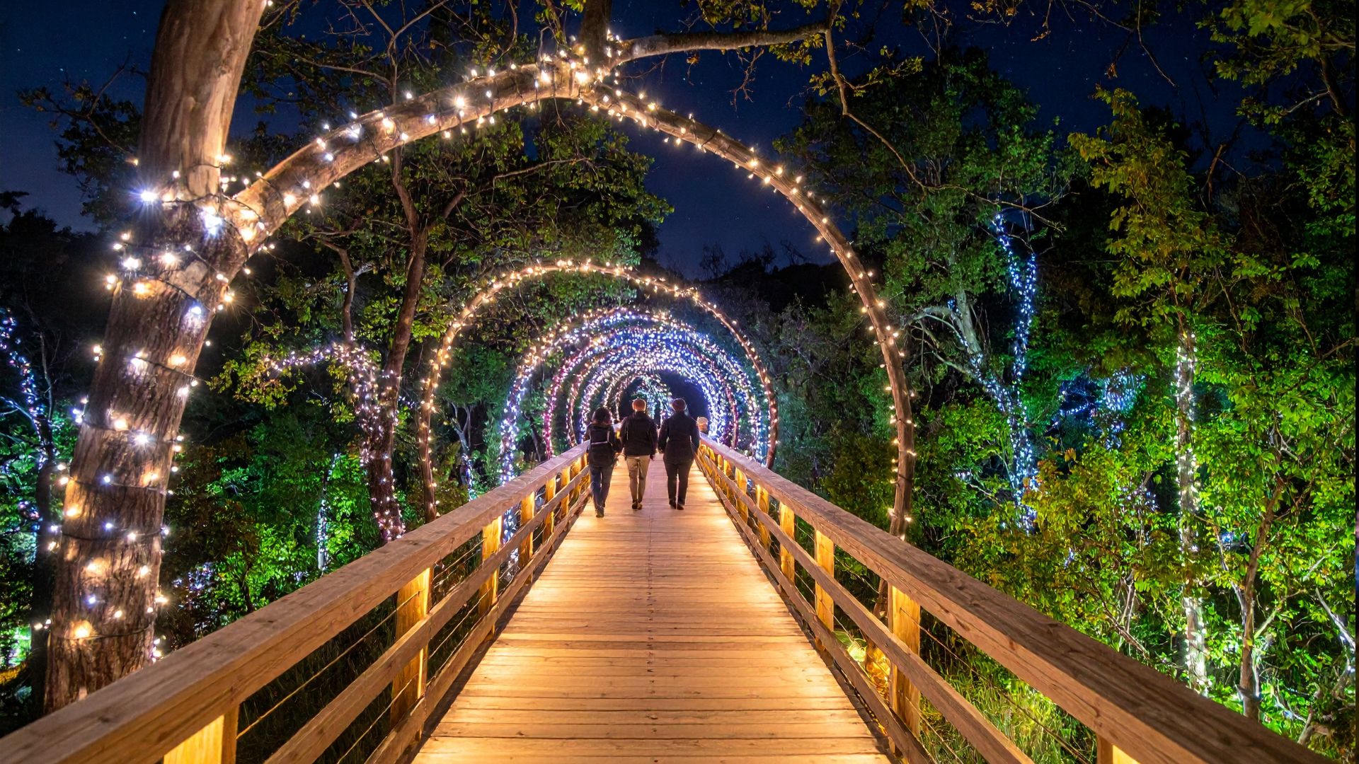 Light Up BSP – Dates, Costs, and Best Attractions to See - Festival Of ...