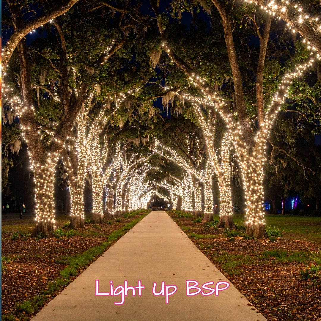 Festival of Lights Riverside (2024) - Light Up Your Way to the Fest