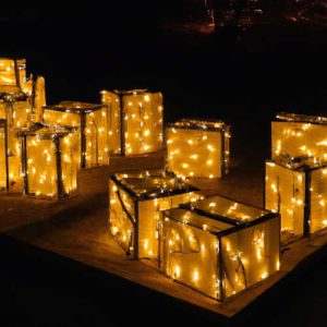 Fairy Lights Ideas Inspired by the Festival of Lights - Easy DIY