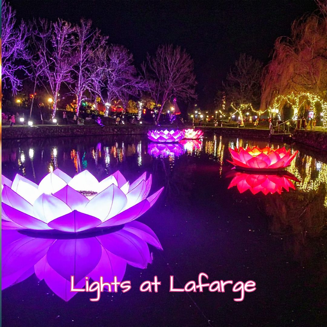 Lights at Lafarge – Dates, Costs, and Great Attractions - Festival Of ...