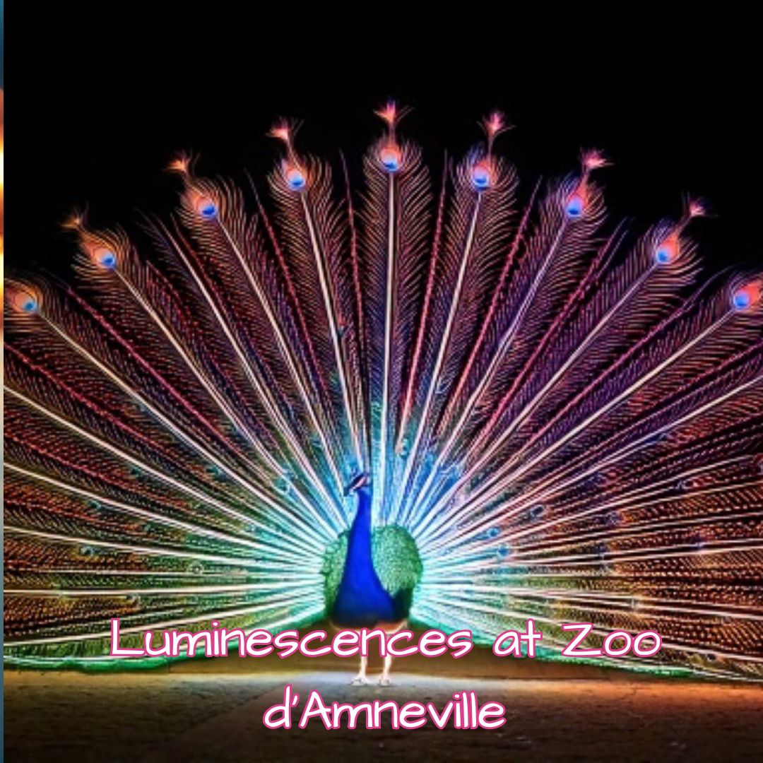 LUMA Southern Light Project - Queenstown Gardens, New Zealand