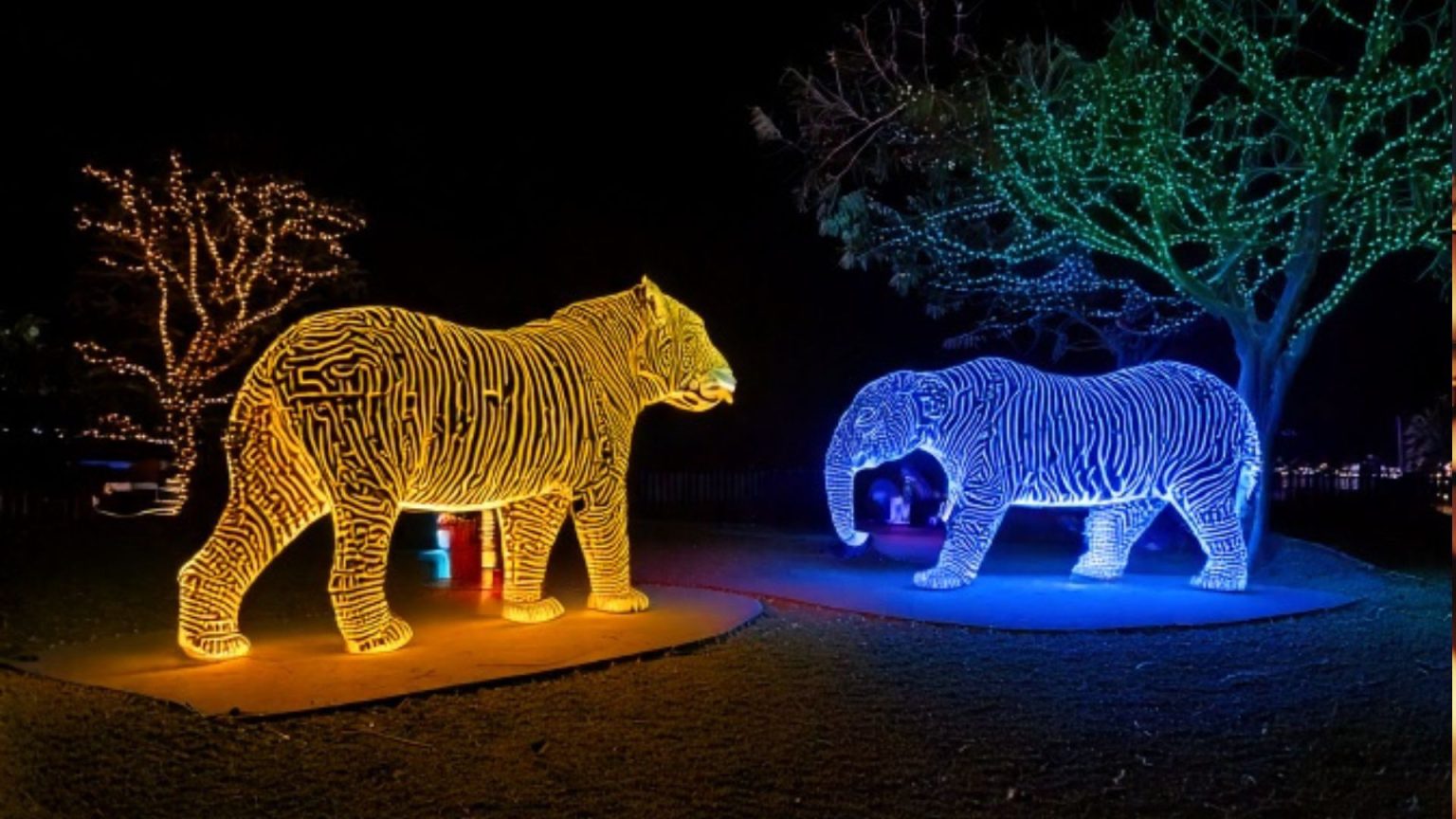 Magnetic Hill Zoo Lights – Dates, Costs, and Sights to See - Festival ...