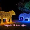 Zoo Lights | When | Where | Tickets Costs | Festival Of Lights