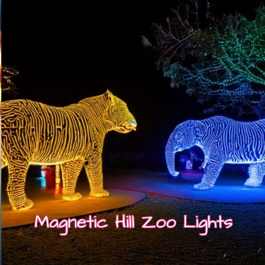 Magnetic Hill Zoo Lights – Dates, Costs, and Sights to See - Festival ...