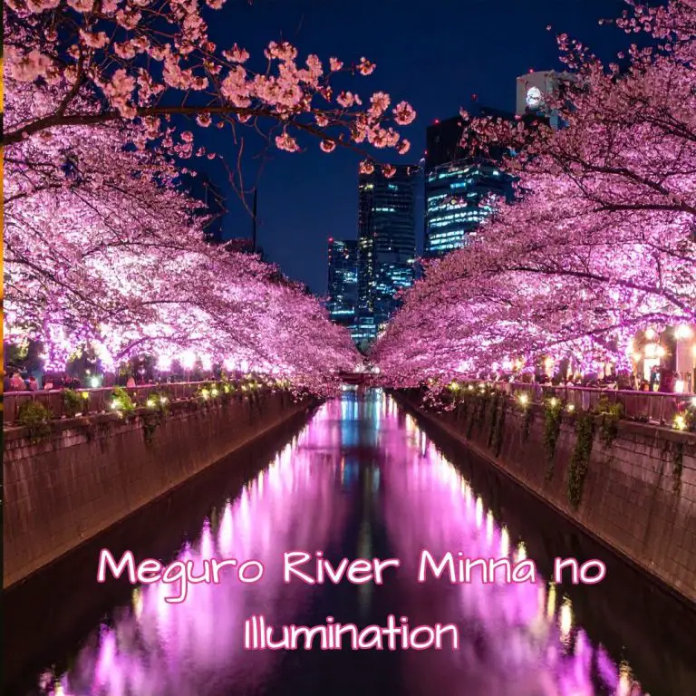 Meguro River Minna no Illumination – Dates, Costs, and Attractions ...