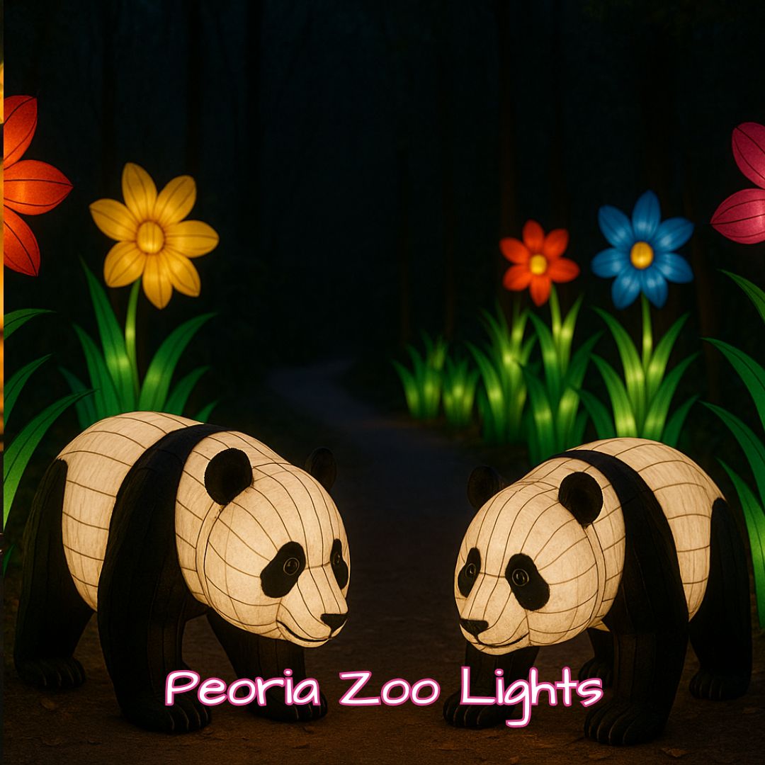 Stone Zoo Lights - A Wonderland of Lights, Nature, and Christmas