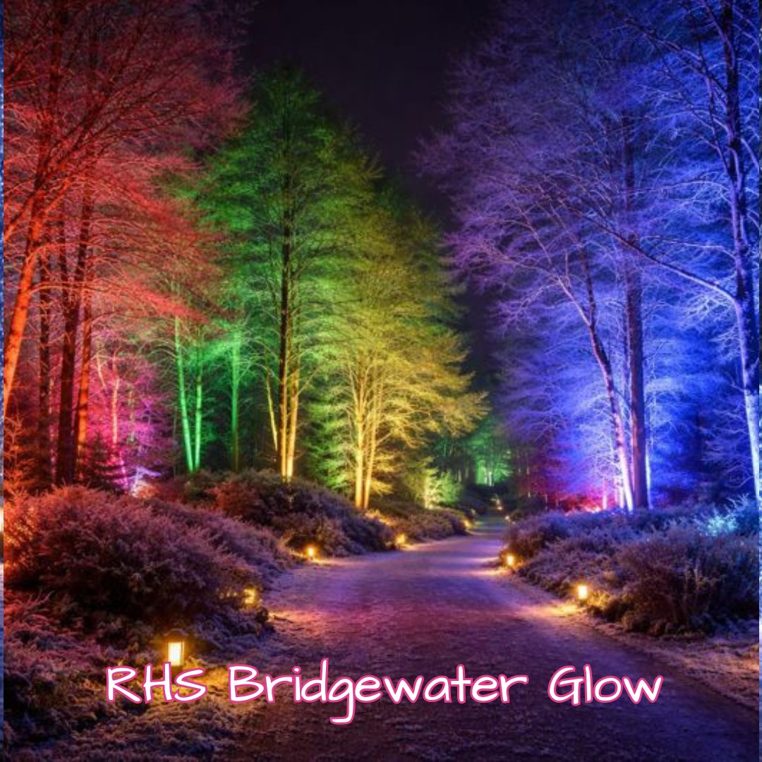 Illuminate SF - A Lighting Event You Must See - Festival Of Lights