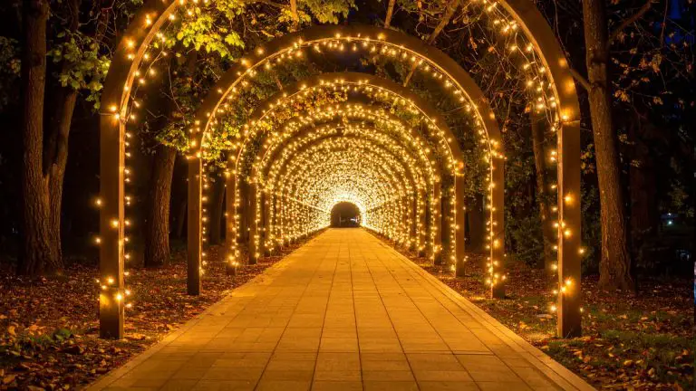 Redmond Lights — Dates, Costs, and Best Attractions - Festival Of Lights