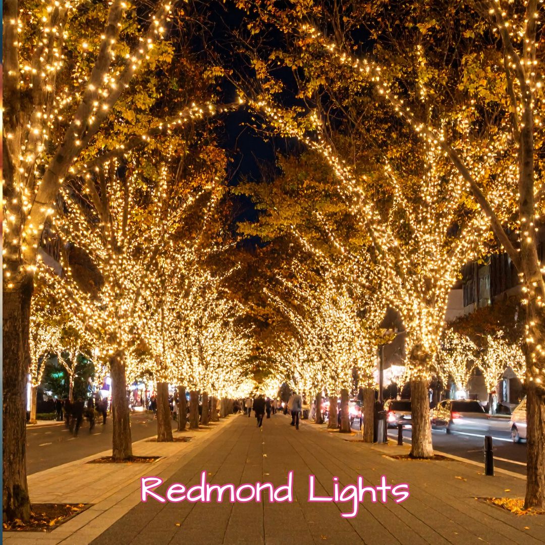 Seoul Lantern Festival – A Lighting Event You Must See - Festival Of Lights