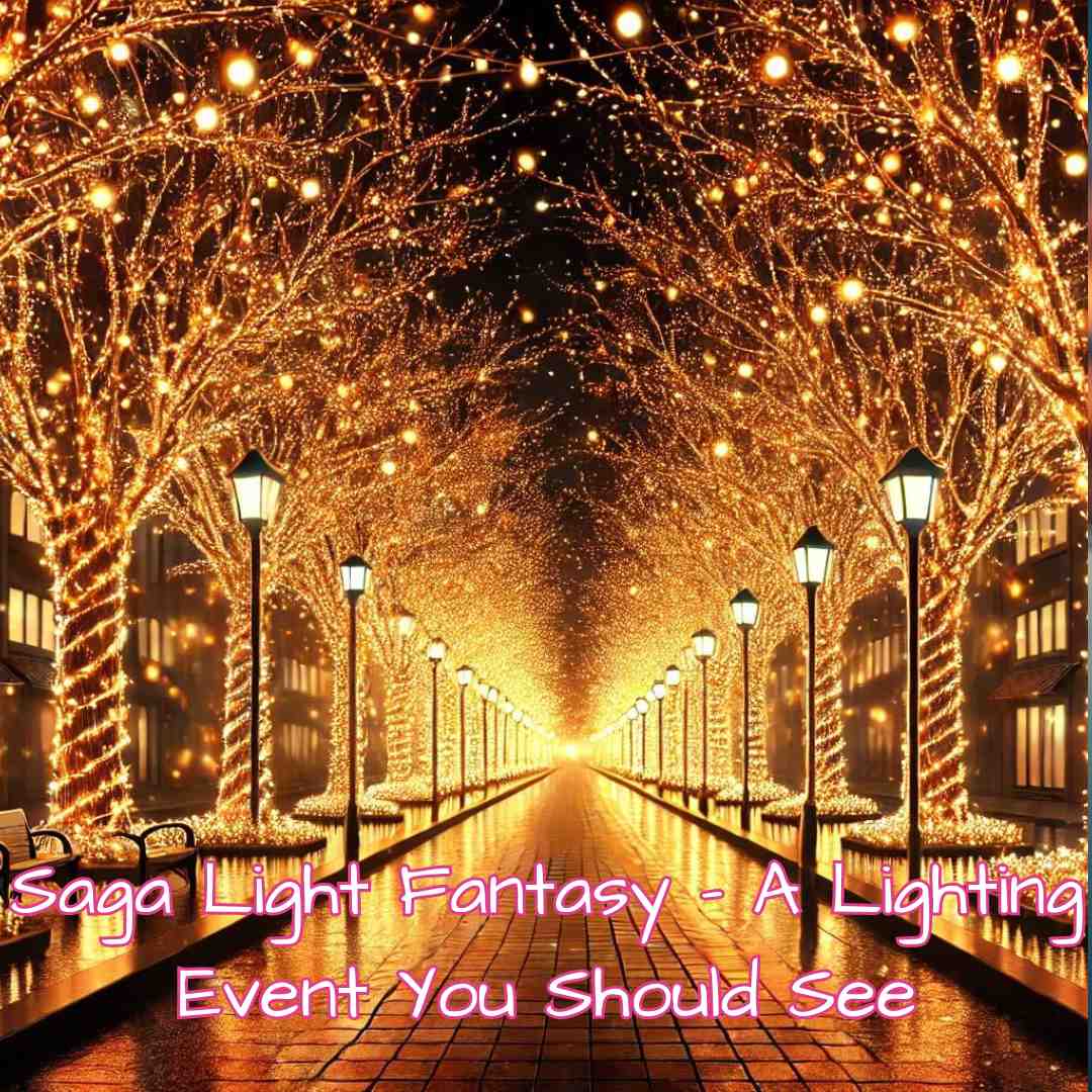 Festival Of Lights New Plymouth - All the info in our festival guide >>