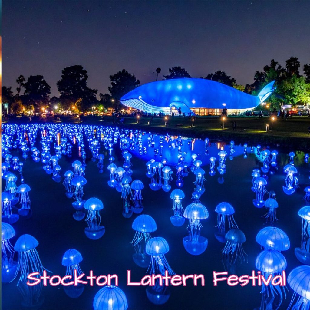 Stockton Lantern Festival – Dates, Tickets, and Attractions - Festival ...