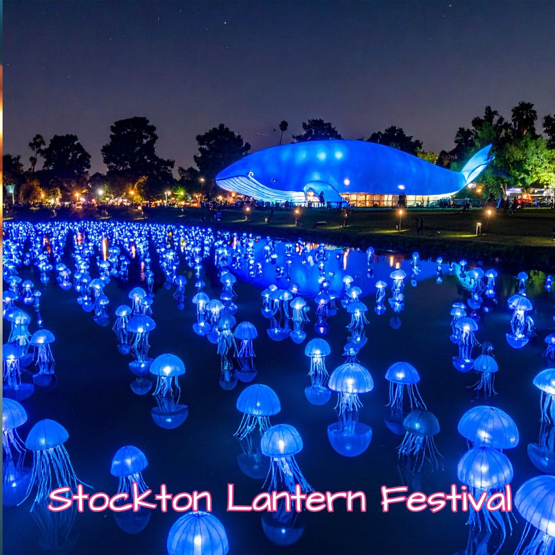 Festival of Lights Riverside (2024) - Light Up Your Way to the Fest