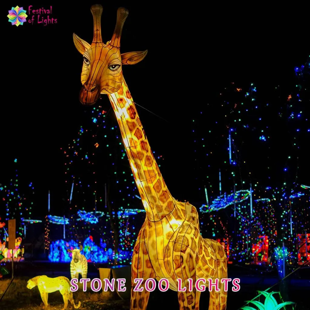 Zoo Lights | When | Where | Tickets Costs | Festival Of Lights