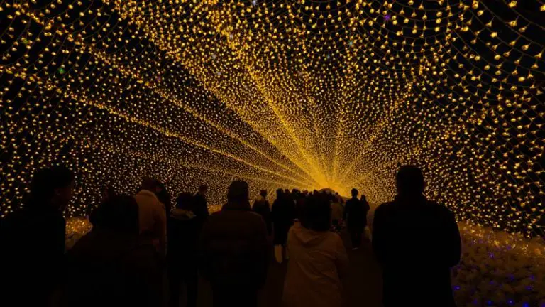 Suwannee Lights Festival - Plan Your Visit Here>>