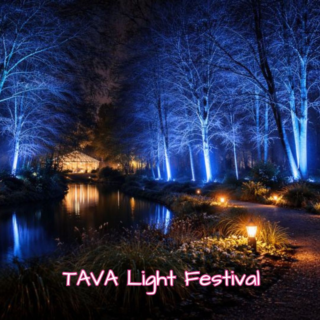 TAVA Light Festival – Dates, Costs, and Attractions - Festival Of Lights