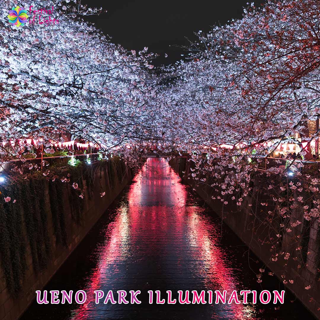 Ueno Park Illumination - festival of lights in Tokyo - Plan Your Visit >>