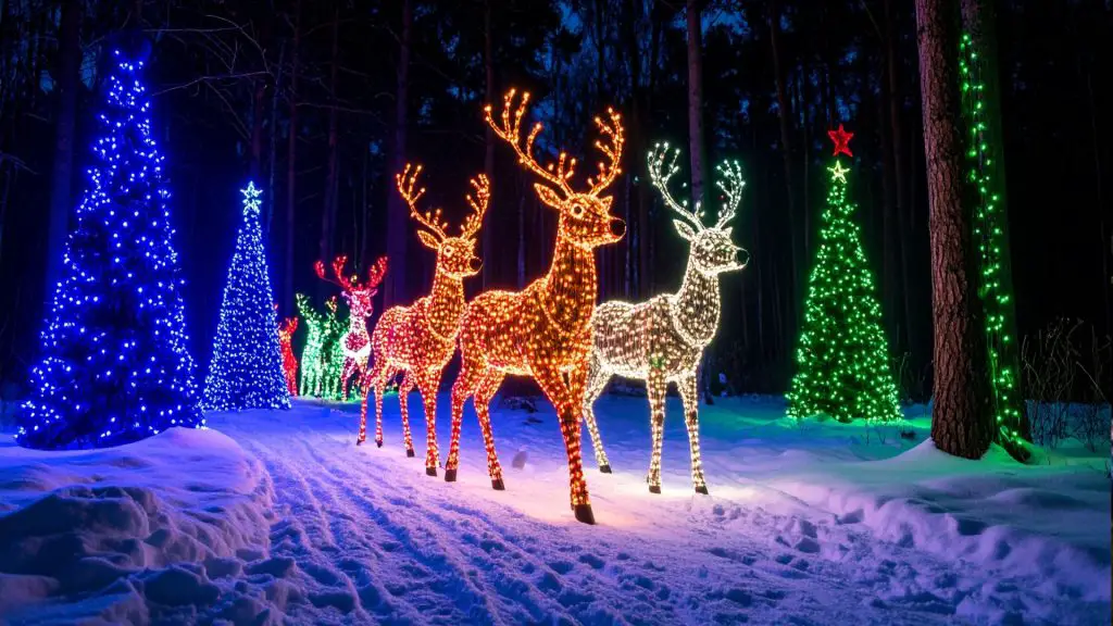 Wayne County Lightfest – Dates, Tickets, and Best Attractions ...