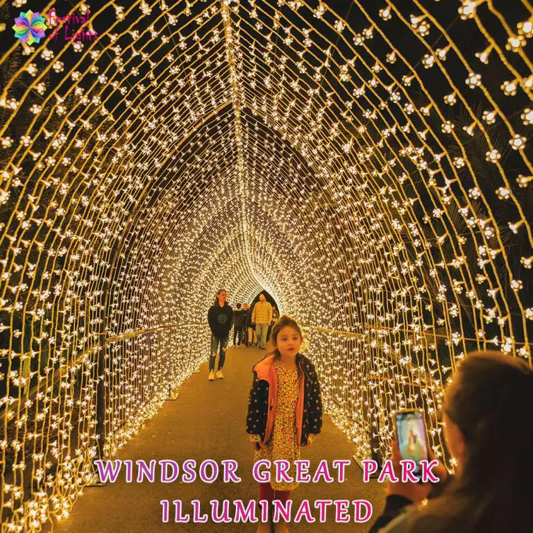 Plan Your Visit to Windsor Great Park Illuminated Festival