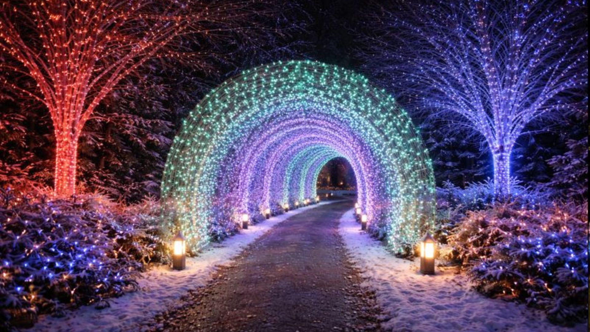 Winter Lights at Minnesota – Dates, Costs, and Attractions - Festival ...