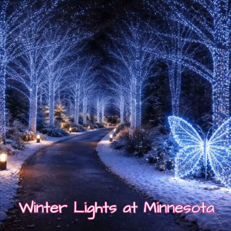 Lux Helsinki Lights Festival - Come Experience a Magical Event