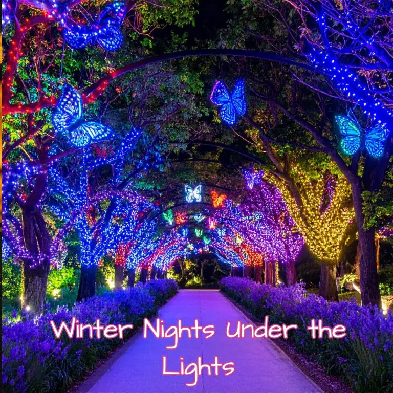 Grotto Festival of Lights - a guide to a light visual journey.