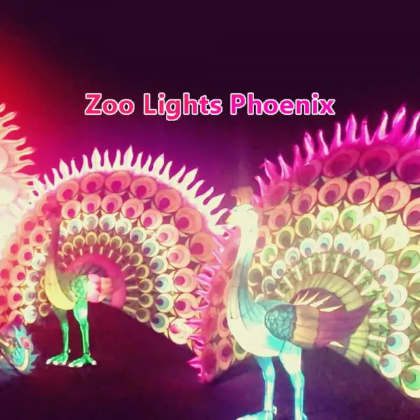 Zoo Lights Phoenix - Festival Of Lights | Plan Your Visit HERE>>