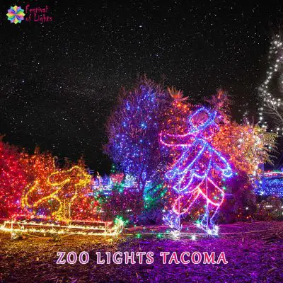 Festival Of Lights - The Fun Start Here! >>