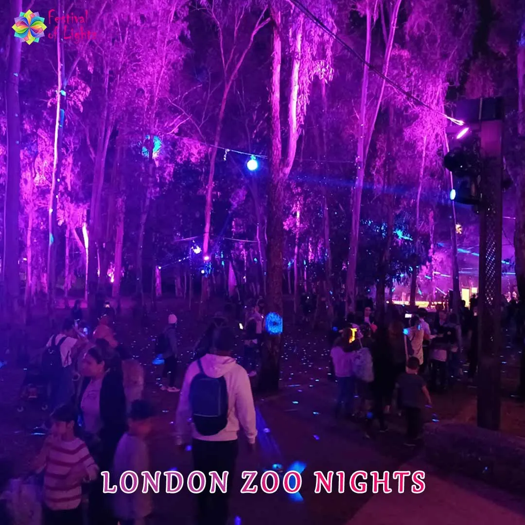 London Zoo nights - Christmas at London Zoo