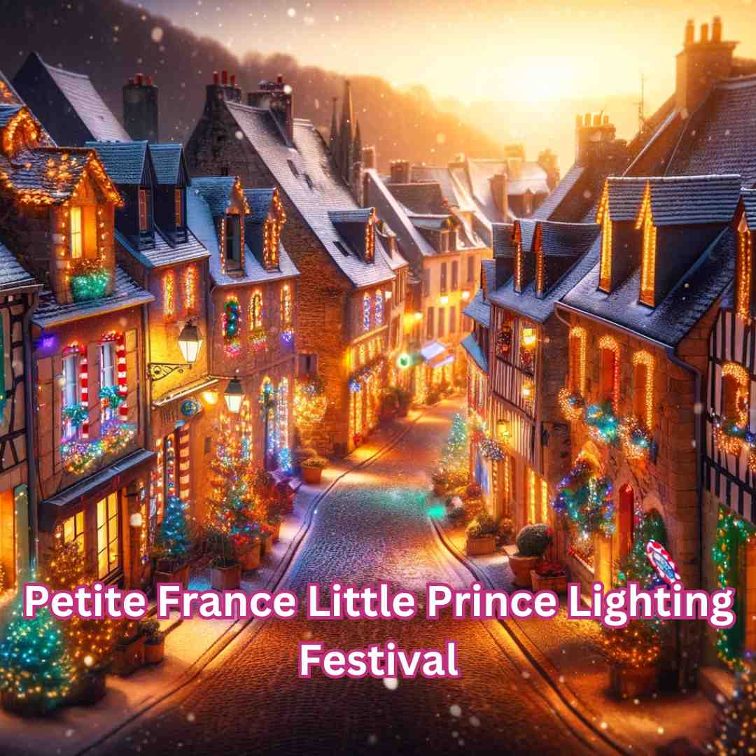 Petite France Little Prince Lighting Festival - A Must-See Spectacle